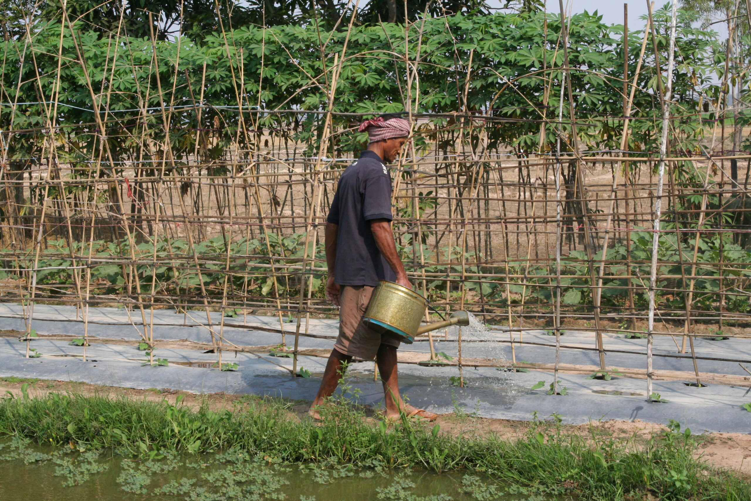 2.8 Water for Food Programme - NWP Social Annual Report 2023